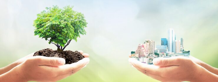 Company Profile – Mid Pac